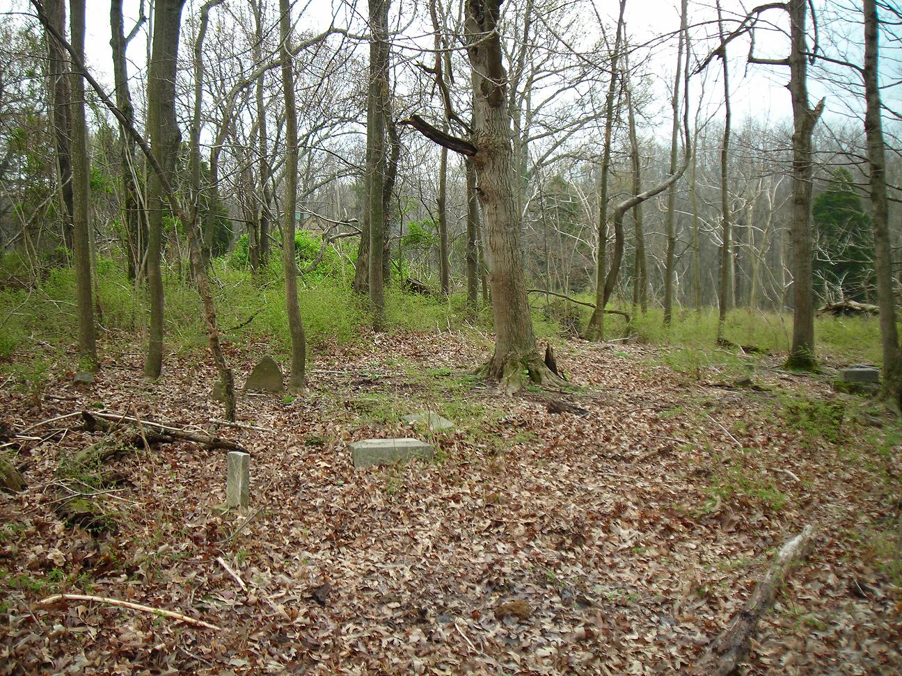 Cook Family of Robertson County, TN